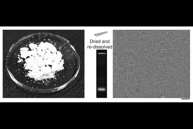 DNA origami makes it big | Research | Chemistry World
